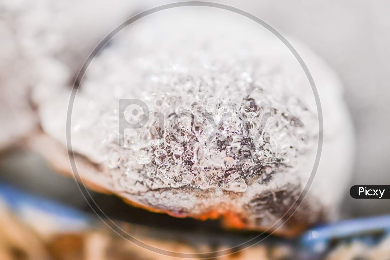 Image of frozen plums prepared on the table-OF492787-Picxy