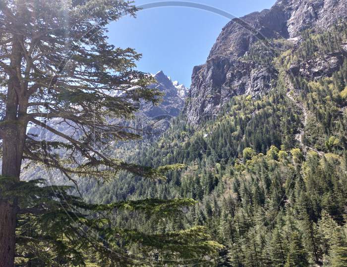 Image of mountain life-GP929202-Picxy