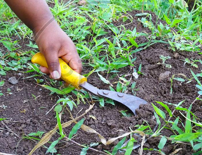 Image of Scissors to cut the grass put in the garden-BA211953-Picxy