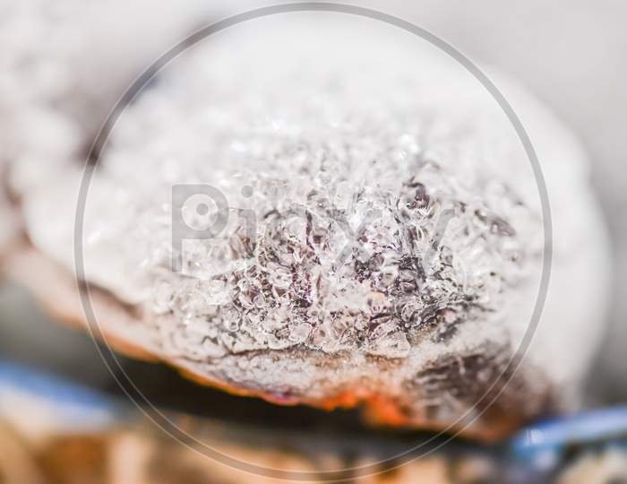 Image of frozen plums prepared on the table-OF492787-Picxy