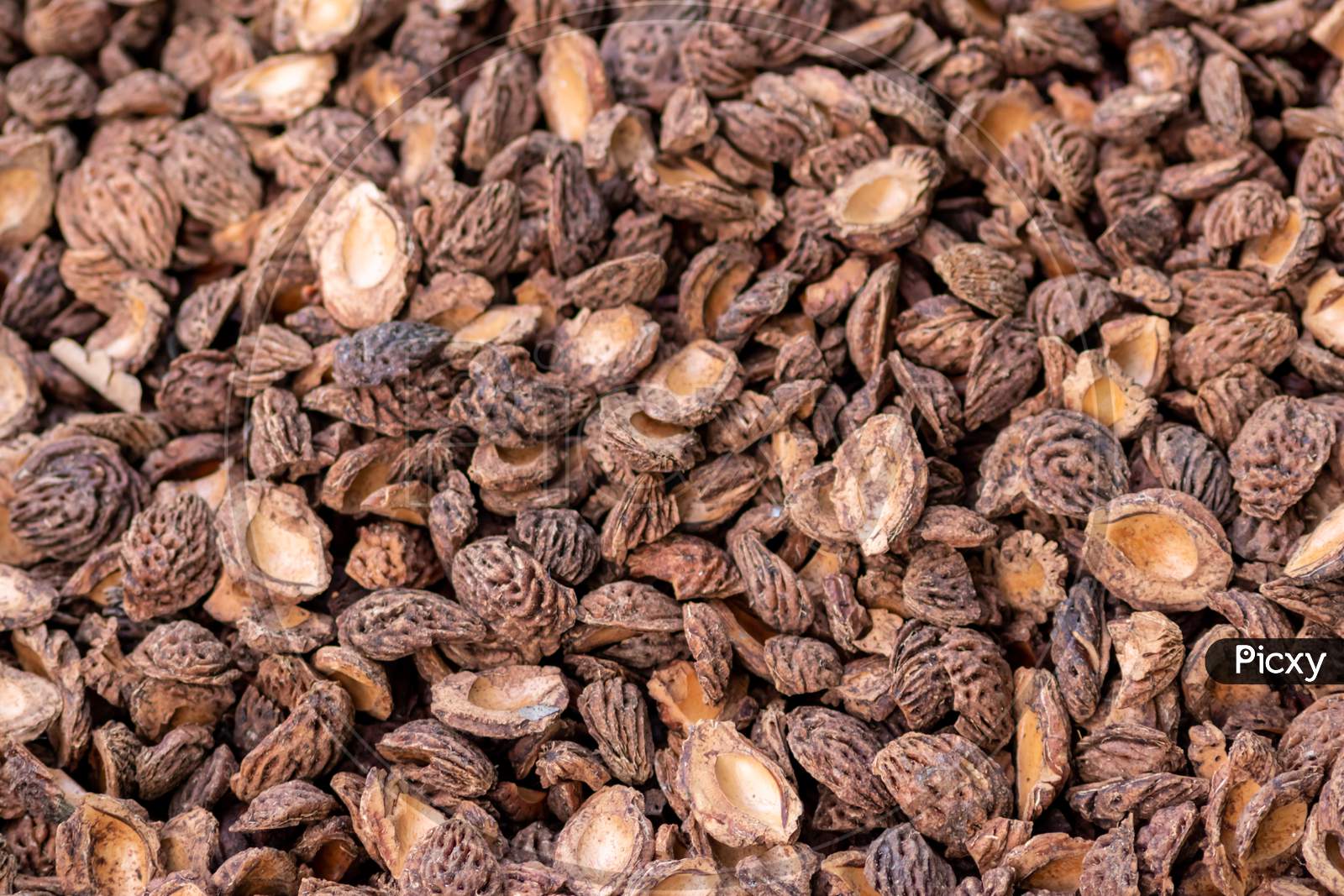 Image of Organic background with shredded peach seeds as organic ...