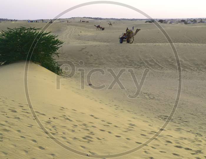 Image of A picture of open desert areas and sand dunes in Thar desert ...