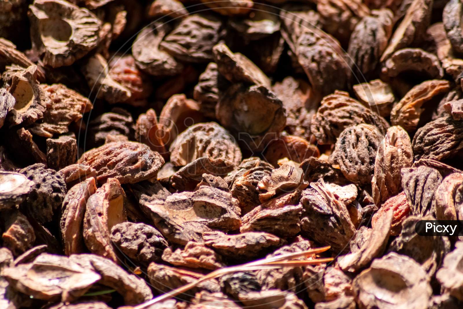 Image of Organic background with shredded peach seeds as organic ...
