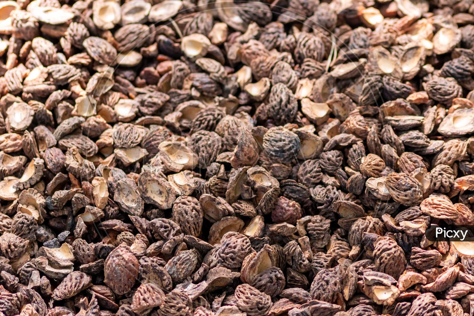 Image of Organic background with shredded peach seeds as organic ...