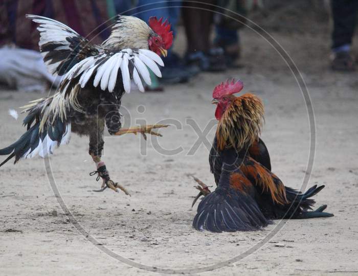 Image of Fighting till death-QT777567-Picxy