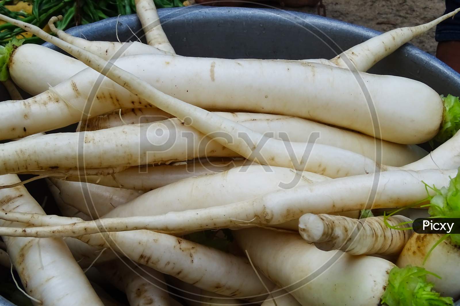 Image of fresh white radishes stacked neatly. white radish set with ...