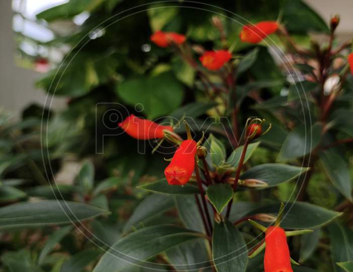 Geo MATHEW photos on Picxy