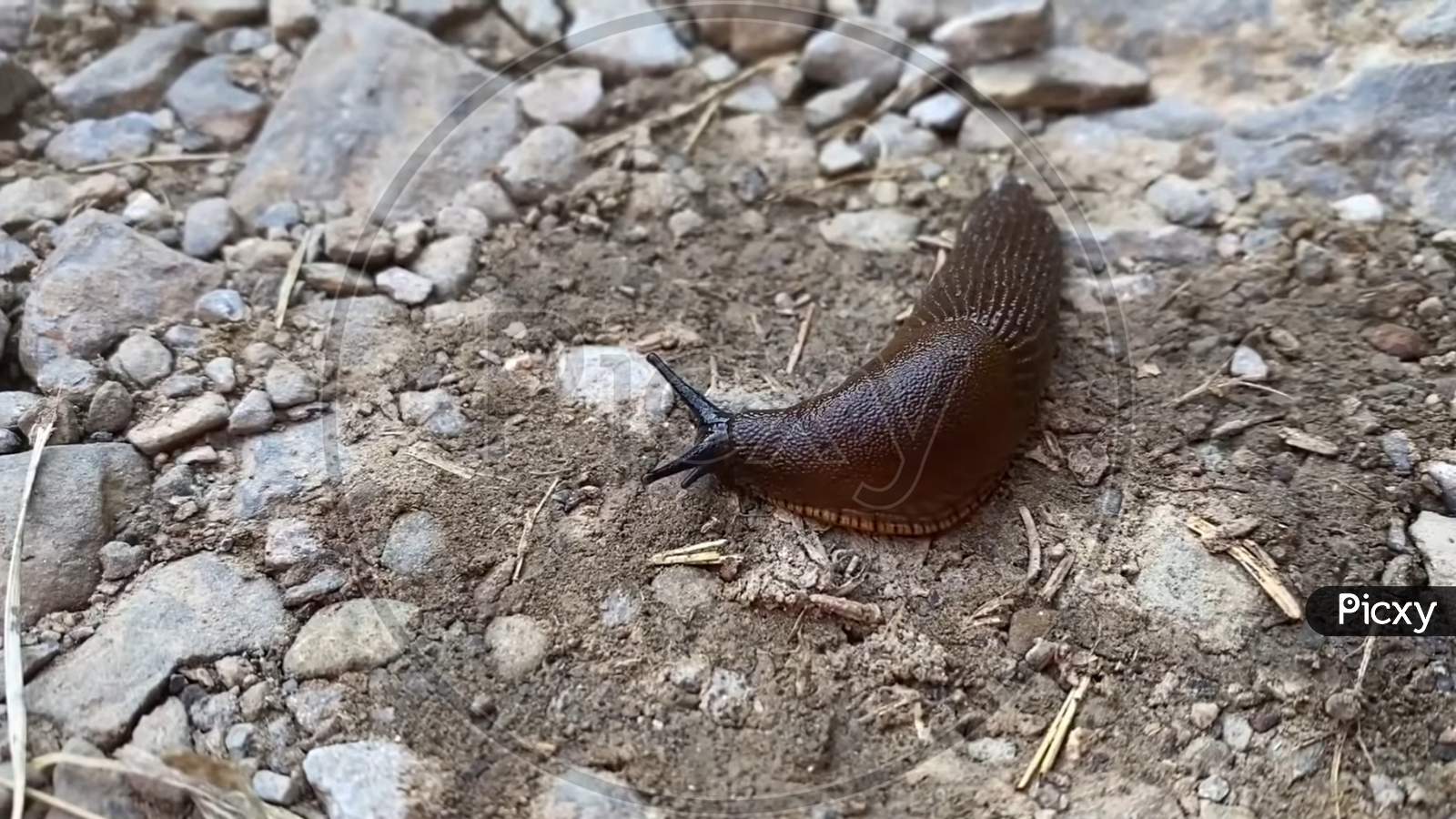 Image of Beautiful Slung photo-MB394785-Picxy