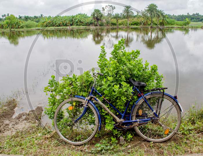 Image of by-cycle and landscape abstract photo-WL139102-Picxy