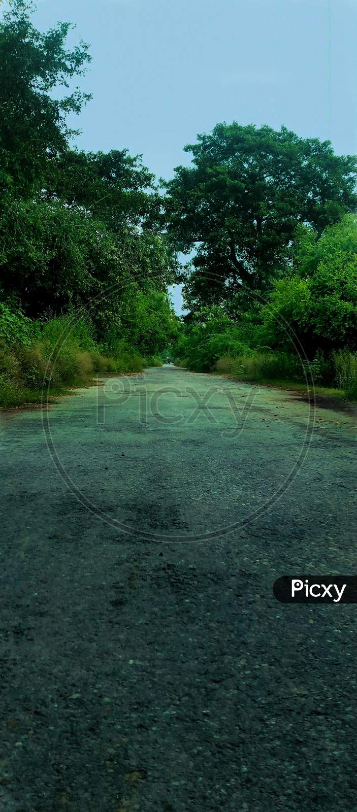 Image of Old Path To A New Road.-XF524889-Picxy