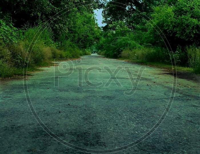 Image of Old Path To A New Road.-XF524889-Picxy