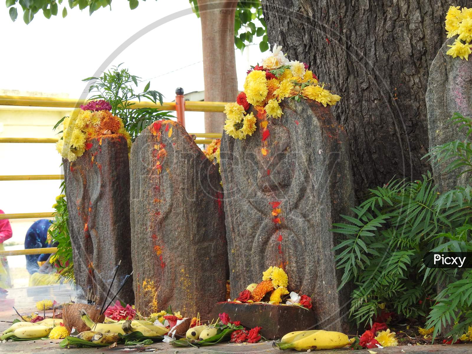 Image of Closeup Of Snake Statue In Stone Or Nagara Kallu In A Temple ...
