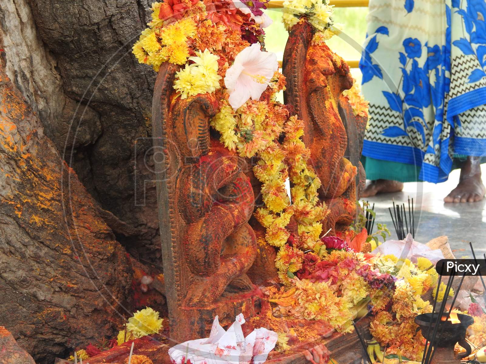 Image of Closeup Of Snake Statue In Stone Or Nagara Kallu In A Temple ...