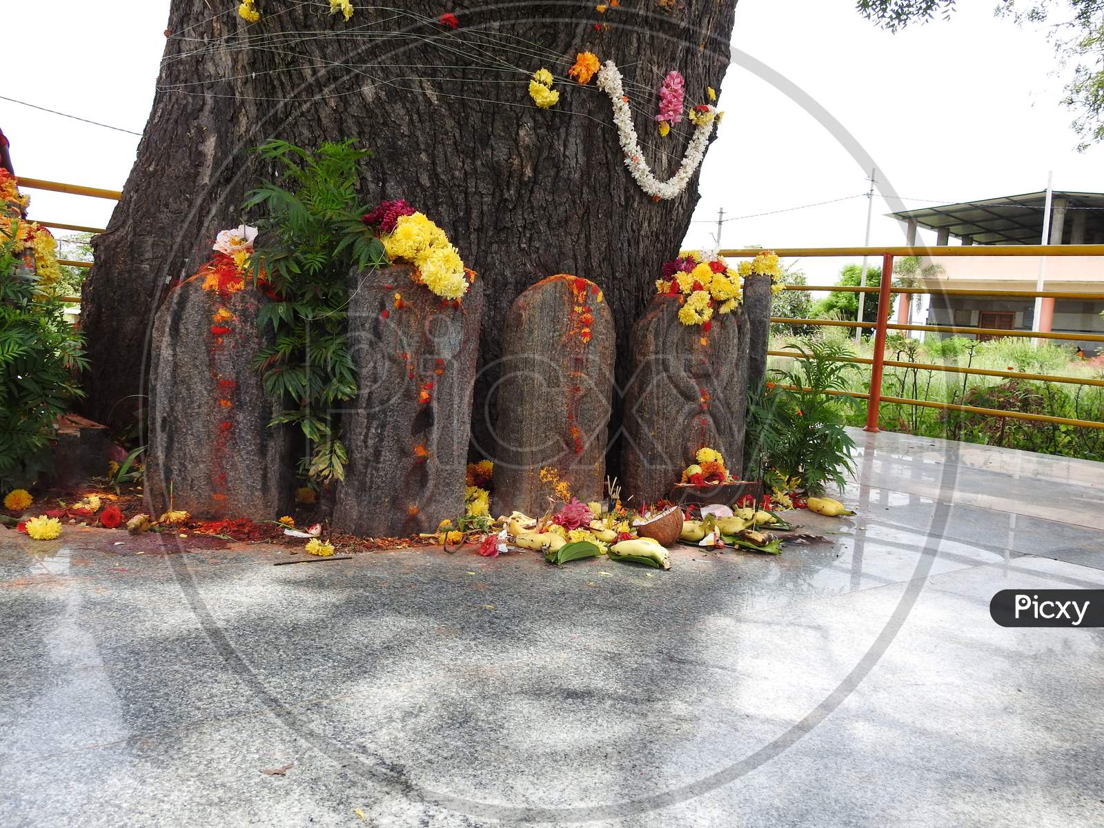 Image of Closeup Of Snake Statue In Stone Or Nagara Kallu In A Temple ...