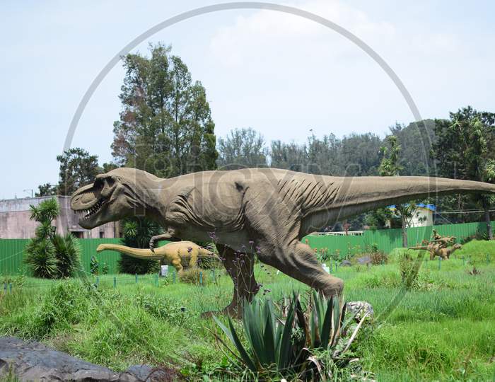 Image of daynasor art-IY248102-Picxy