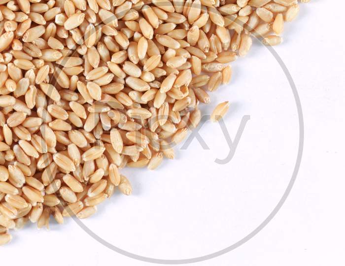 Image of Close up shot of Wheat seeds-QA400884-Picxy