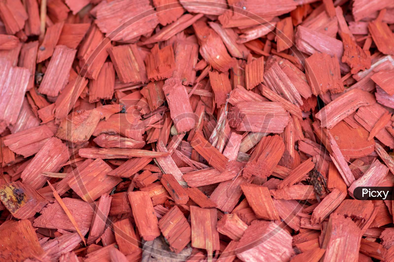 Image of Shredded red wood chips fragments as red woodpath with timber ...