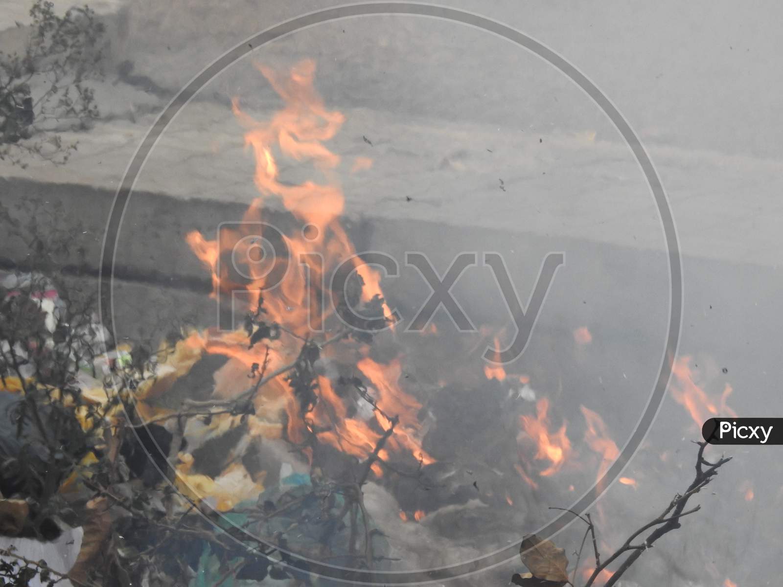 Image of Beautiful Vivid Smoldered Firewoods Burned In Fire ...