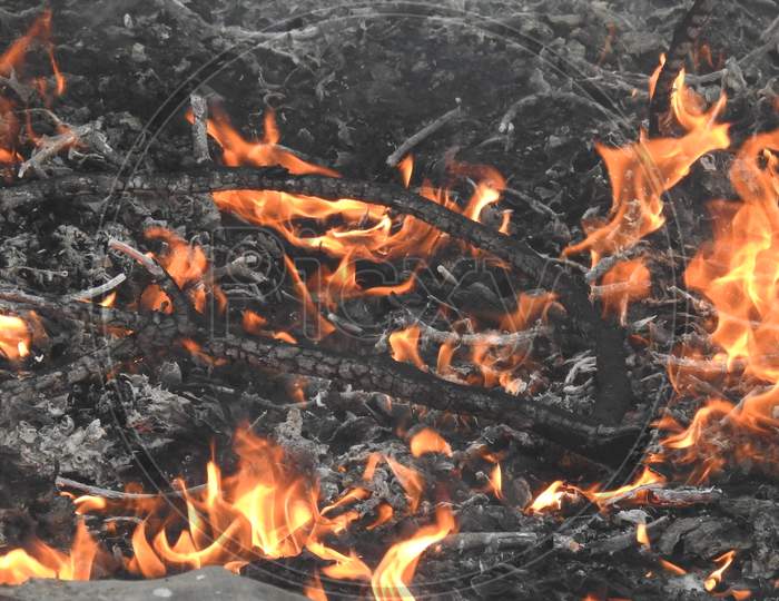 Image of Beautiful Vivid Smoldered Firewoods Burned In Fire ...