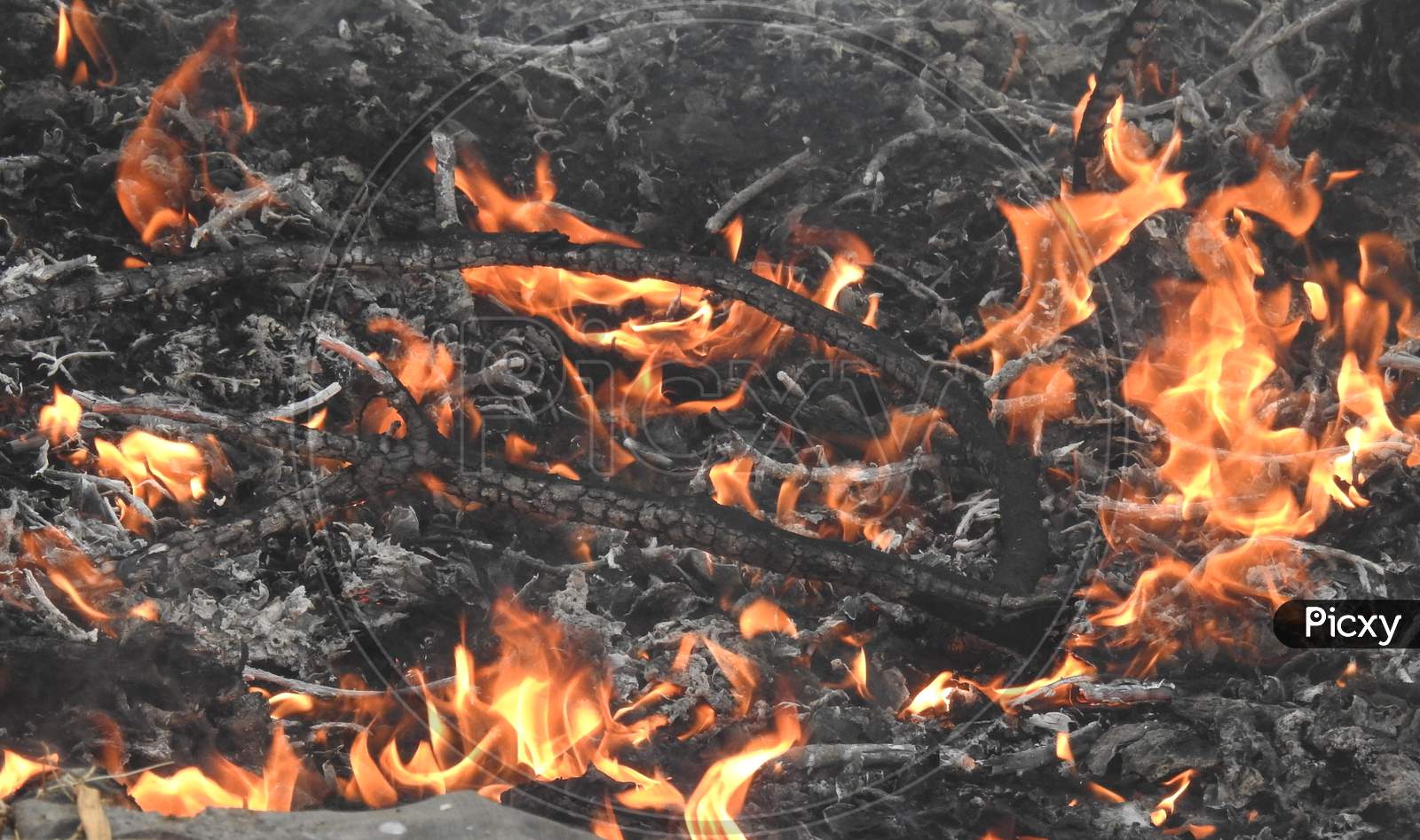 Image of Beautiful Vivid Smoldered Firewoods Burned In Fire ...
