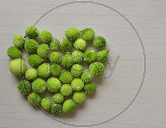 Image of Spine Gourd, Momordica Dioica, Kantola, Kantoli, Bhat Karela ...