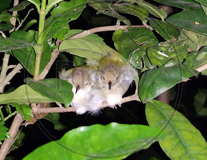 Johan Carter photos on Picxy