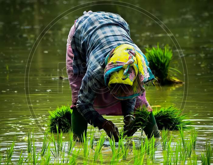 Debayan Pratihar photos on Picxy