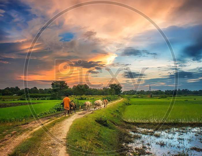 Debayan Pratihar photos on Picxy