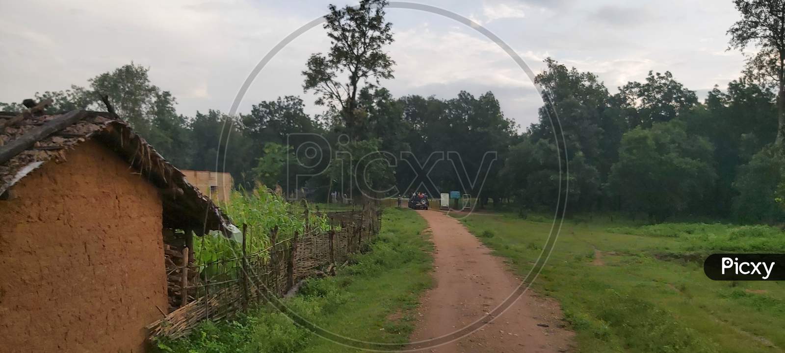 Image of Kachchi Sadak-HB194814-Picxy