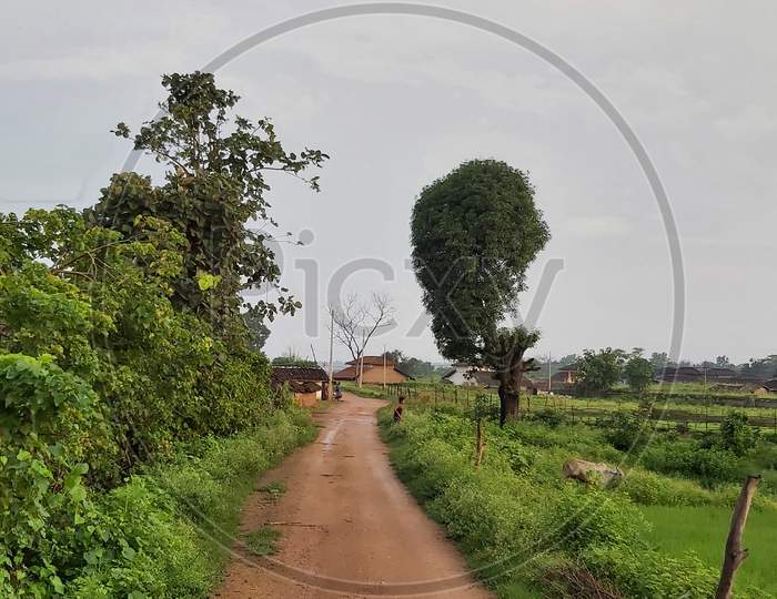 Image of Kachchi Sadak-PL257982-Picxy