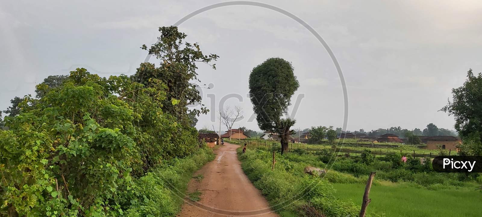 Image of Kachchi Sadak-PL257982-Picxy