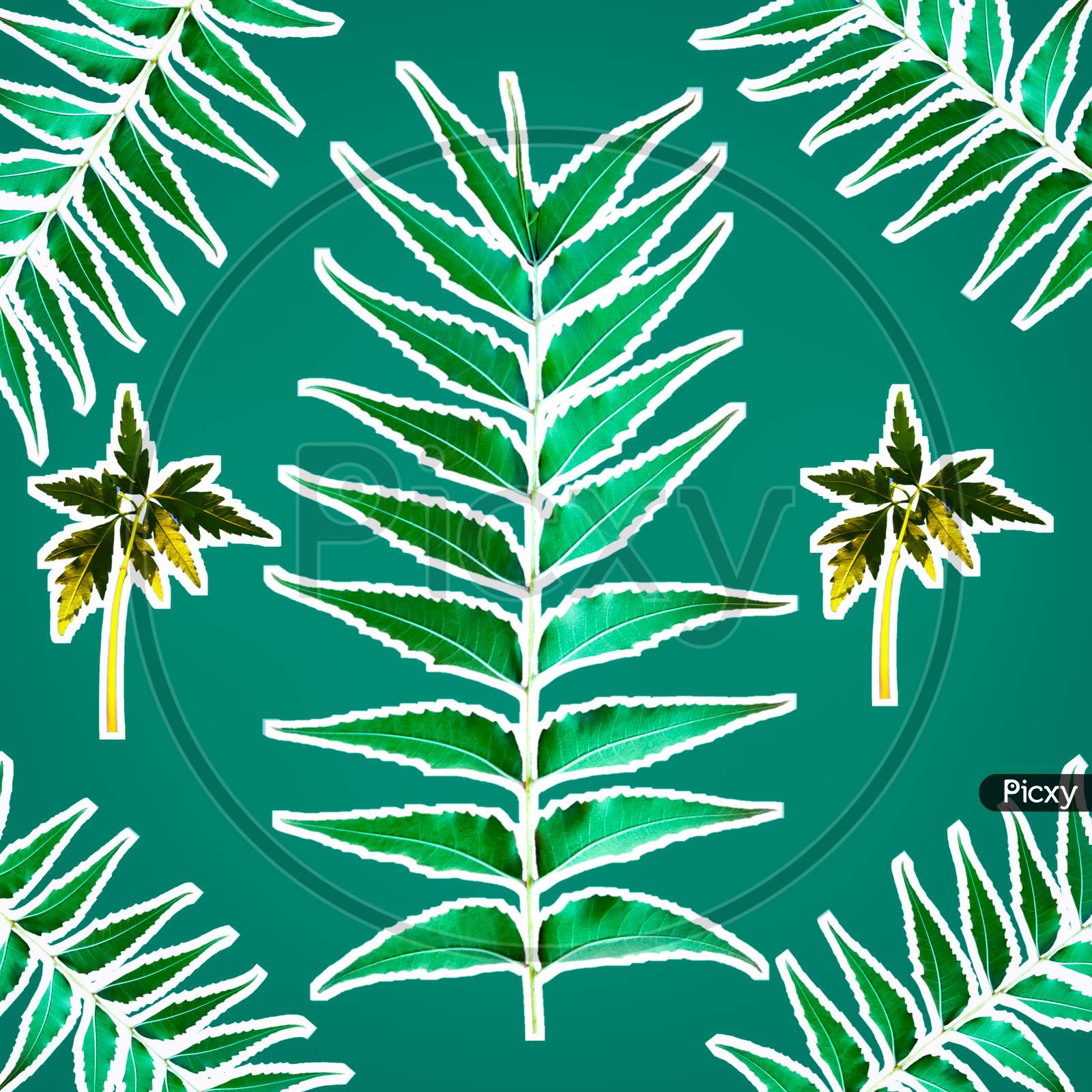 Image of Pattern With Azadirachta Indica Or Neem Leaves And Small Tree ...