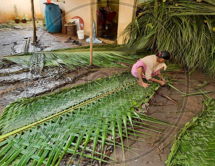Image of Indian Women Weaving Coconut Leaves For Chapra Or For Mat And ...