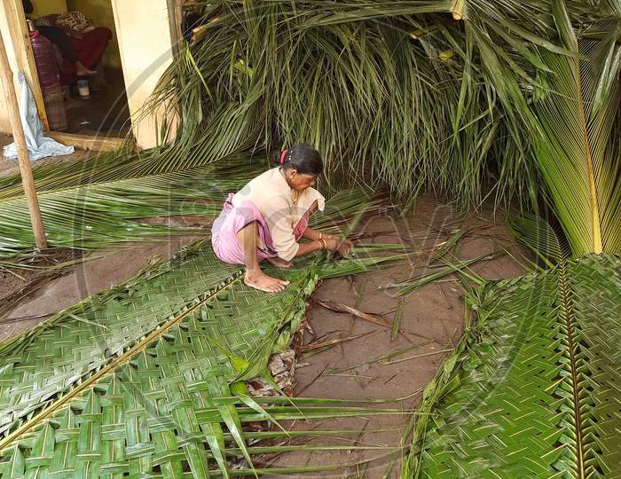 Image of Indian Women Weaving Coconut Leaves For Chapra Or For Mat And ...