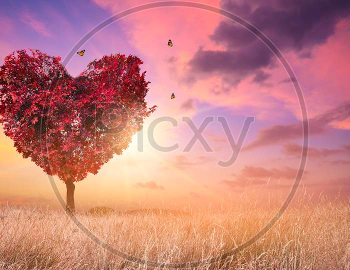 Image of Heart Tree Love For Nature Red Landscape At Sunset-GO989494-Picxy