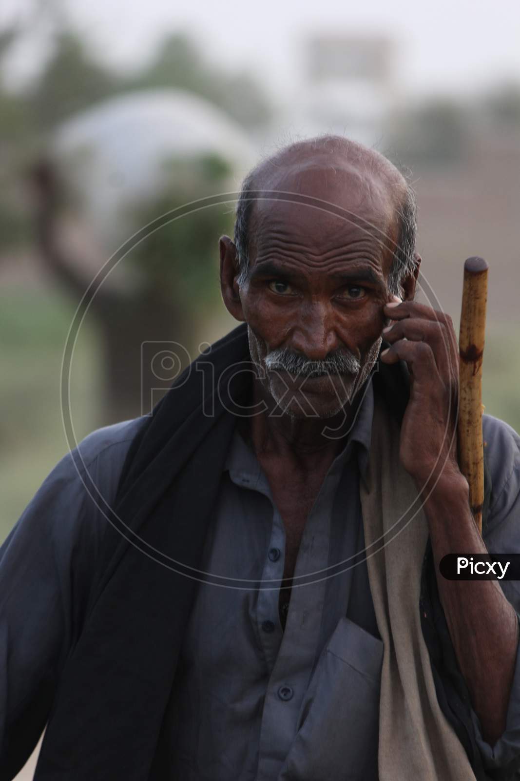 Image of old Man Hand Holding Walking Stick Stock Photo-JA220720-Picxy