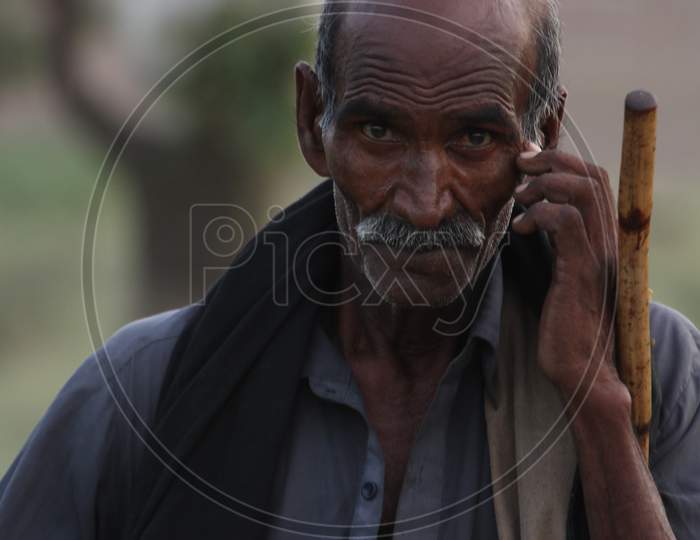 Image of old Man Hand Holding Walking Stick Stock Photo-JA220720-Picxy