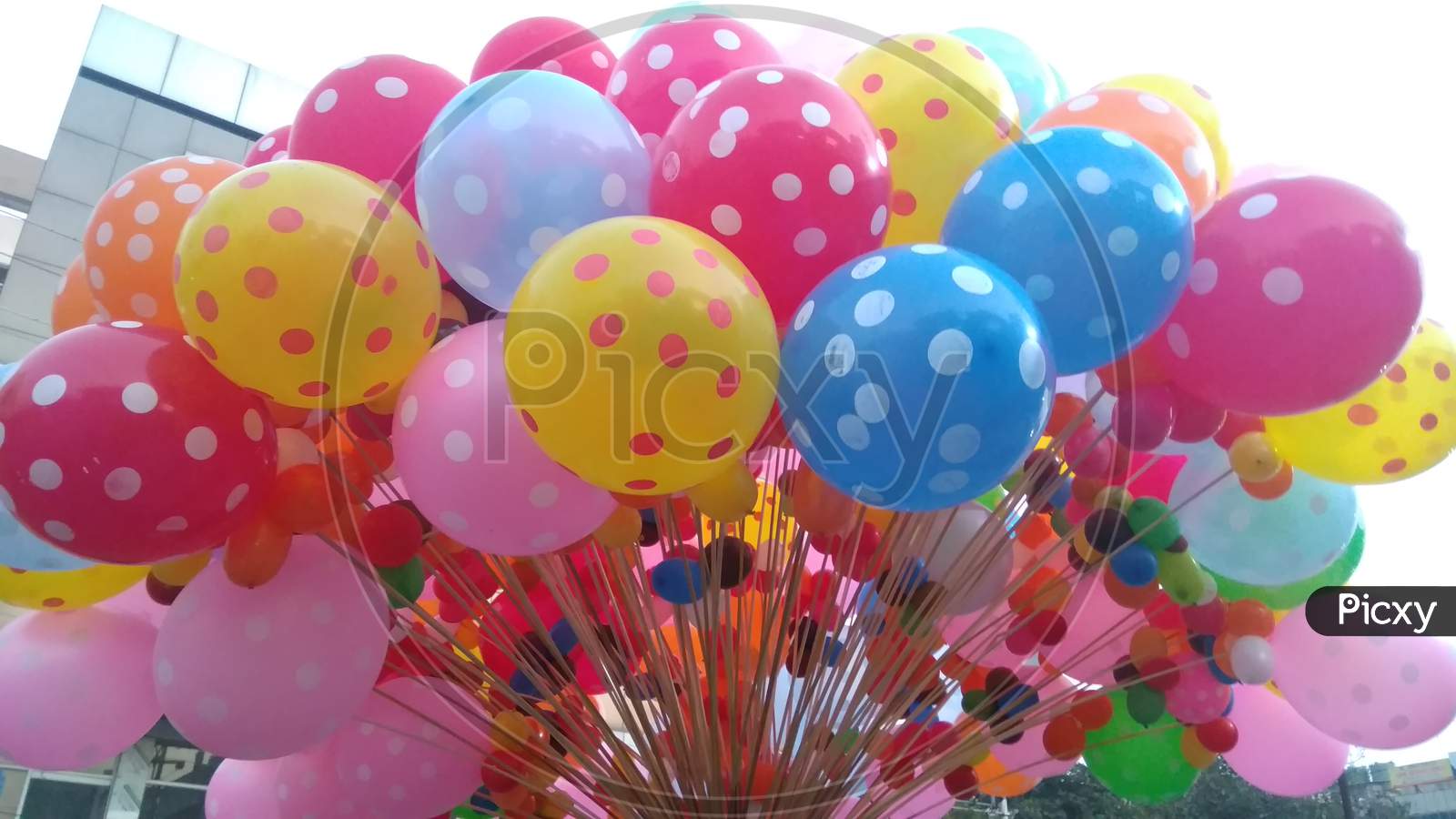 Image of Colorful printed balloons-OC746707-Picxy