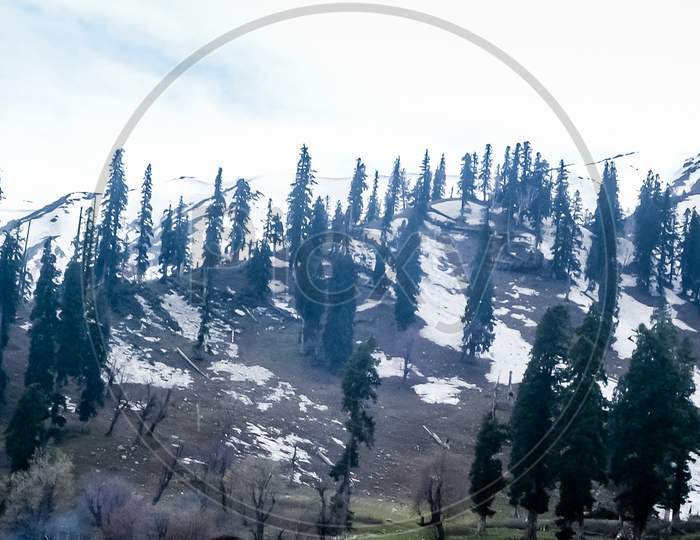 Image of Deep Snow Covered Himalayan Mountain And Winter White Forest ...