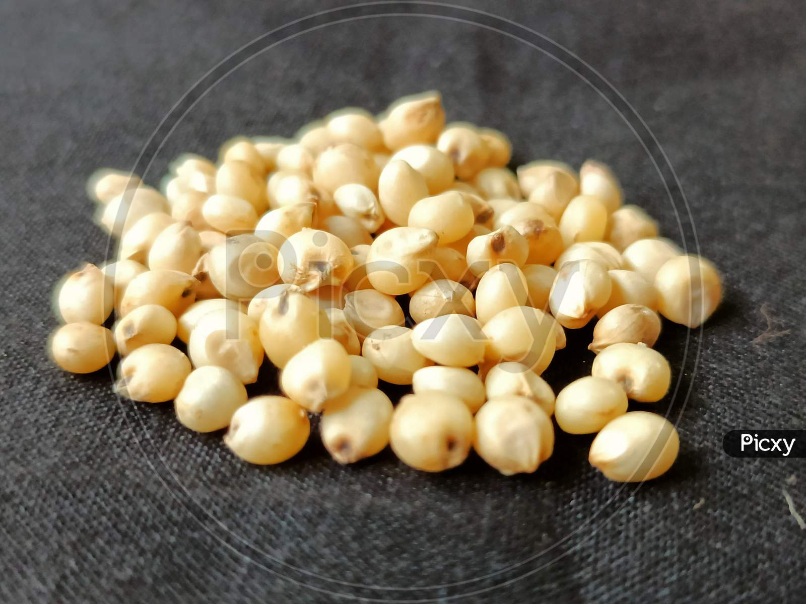 Image of Jawar grain seeds on black background-DQ807606-Picxy