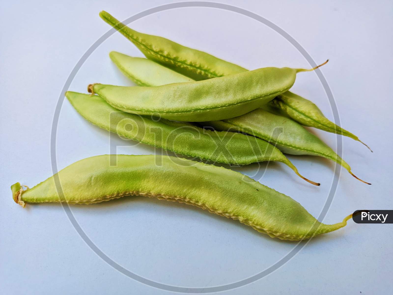 Flat Green Beans Name Image Of Vaal Beans Curry Hyacinth Green Beans
