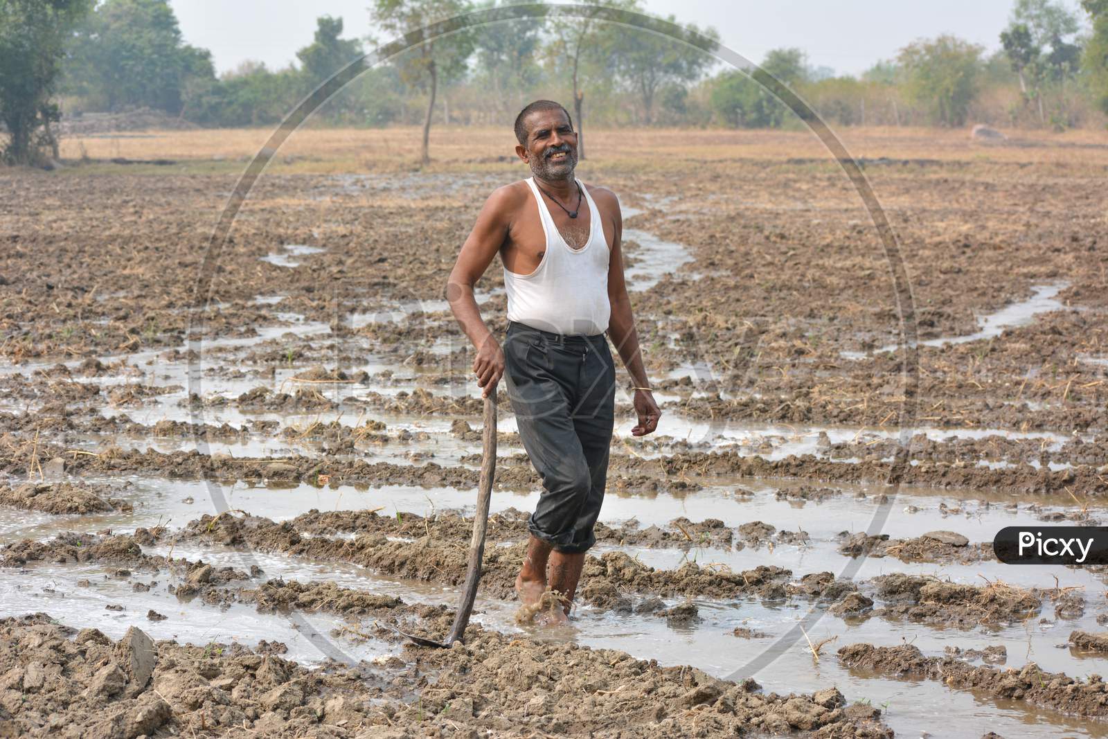 Image of Indian farmer working in agriculture field-FZ348684-Picxy